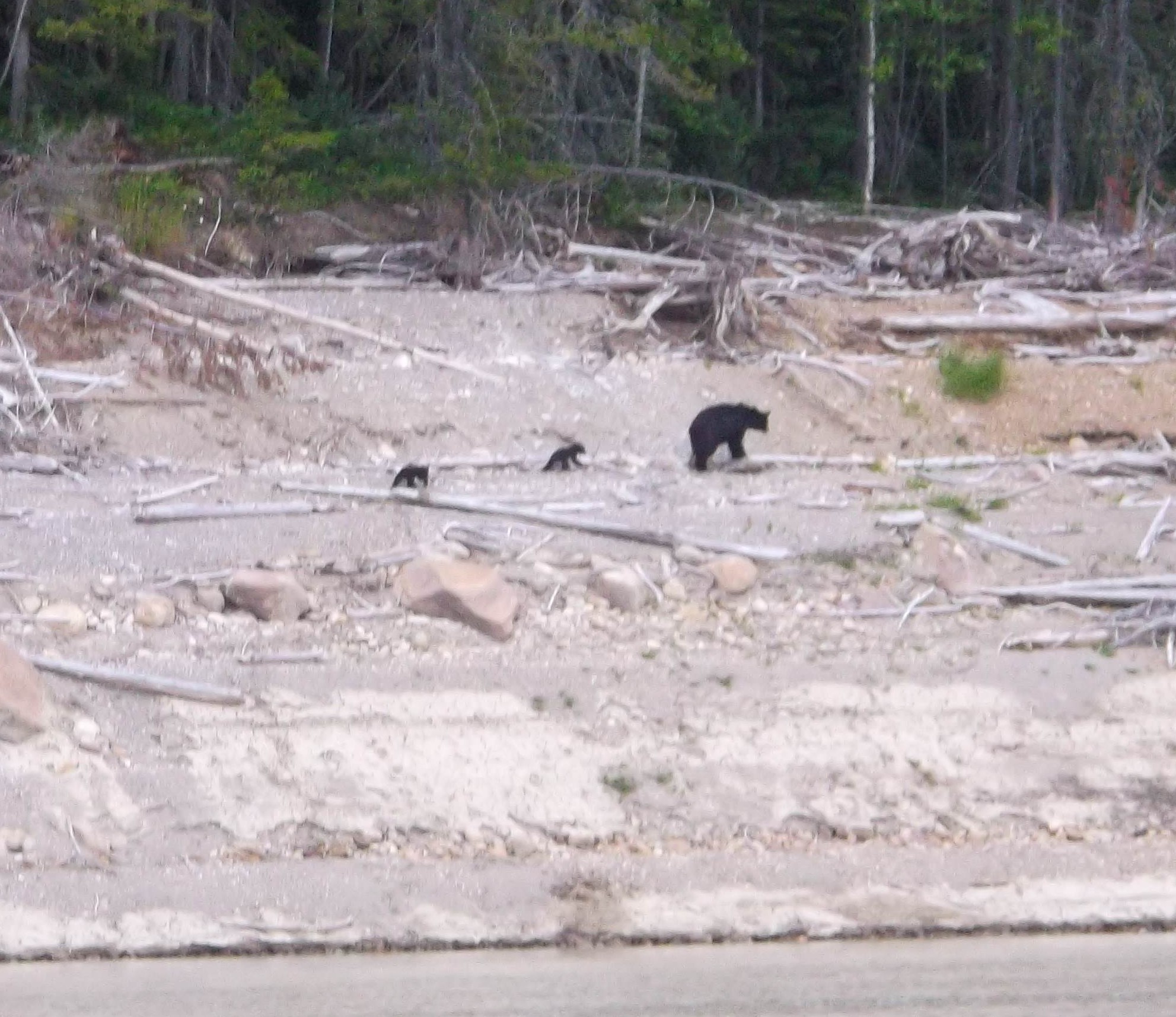 Kinbasket Lake | Exploring Canada by Canoe & Bike